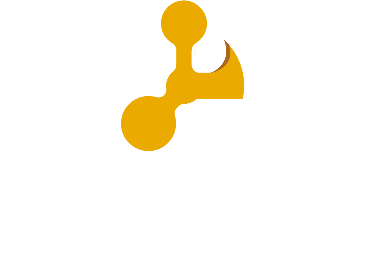 Bizu LLC – IT Solutions